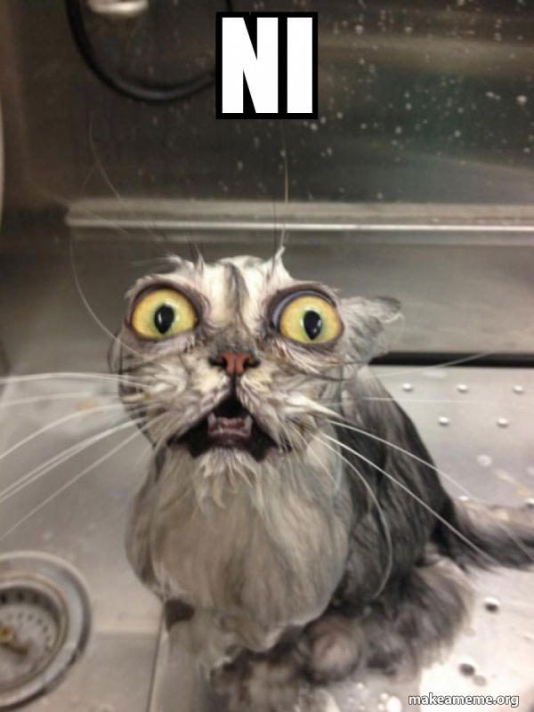Ni - Cat bath Meme Generator