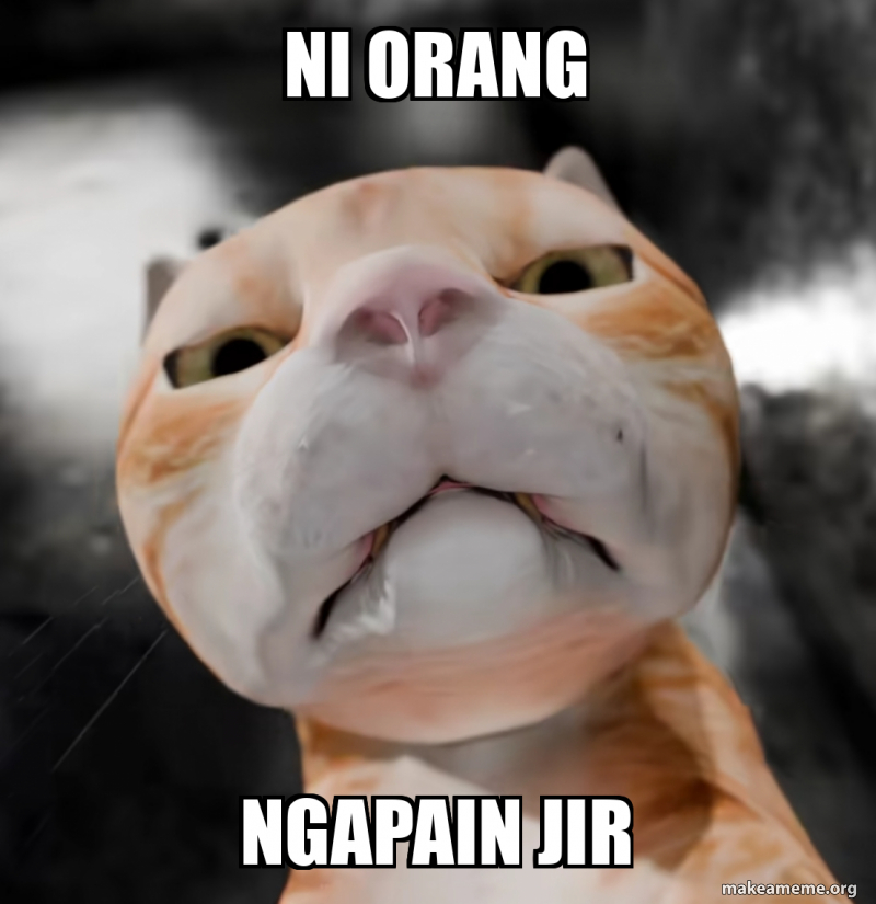 ni orang ngapain jir - ngapain jir Meme Generator