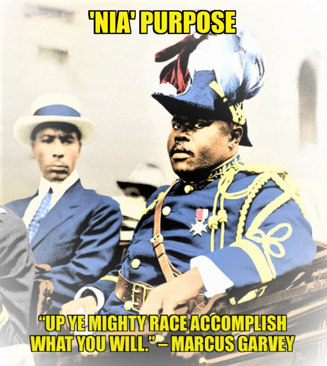 'Nia' purpose Meme Generator