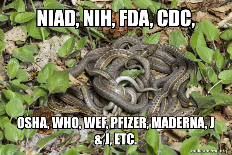 NIAD, NIH, FDA, CDC, osha, who, wef, Pfizer, Maderna, J & J, etc. Meme ...