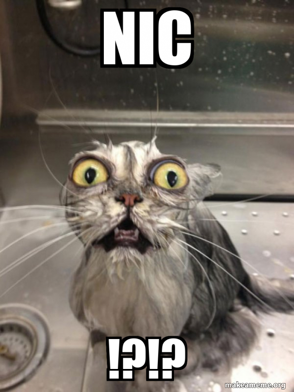 NIC !?!? - Cat bath Meme Generator
