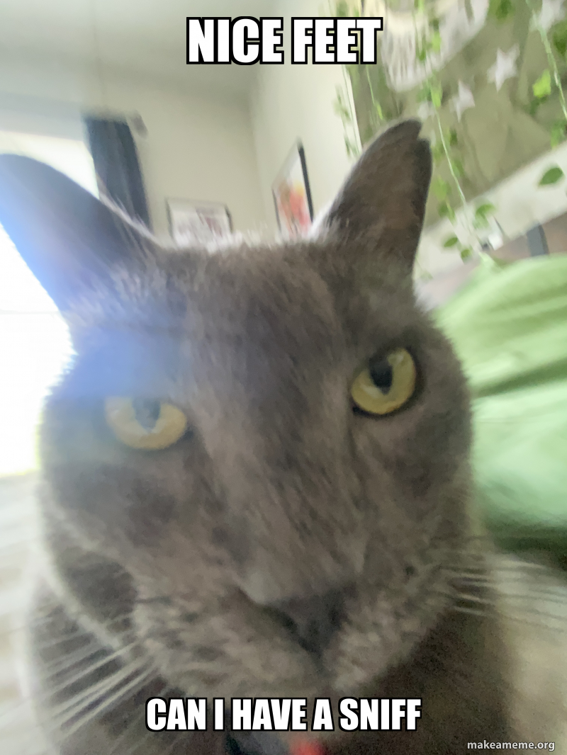 Nice feet Can i have a sniff Meme Generator