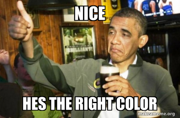NICE HES THE RIGHT COLOR - Upvote Obama Meme Generator
