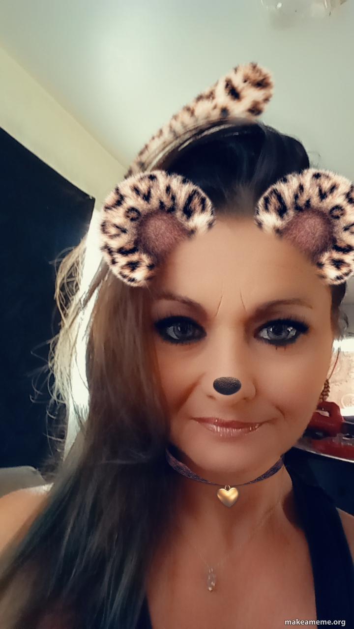 - Nice kitty Meme Generator