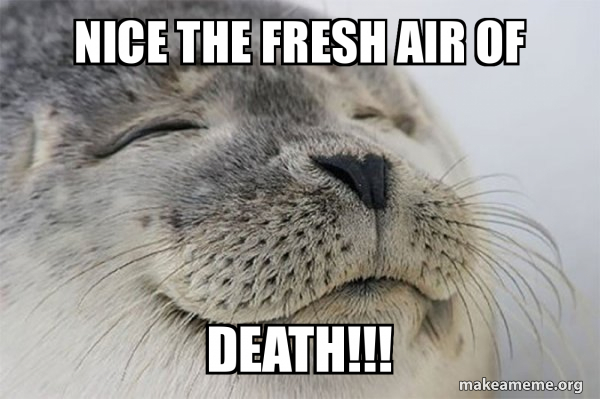 nice the fresh air of DEATH!!! - Satisfied Seal Meme Generator