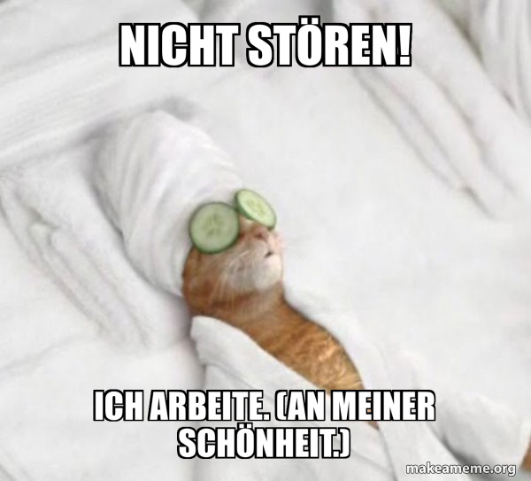 Nicht stören! Ich arbeite. (An meiner Schönheit.) - Pampered Cat Meme ...