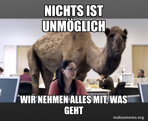 Nichts ist unmöglich Wir nehmen alles mit, was geht - Hump Day Camel ...
