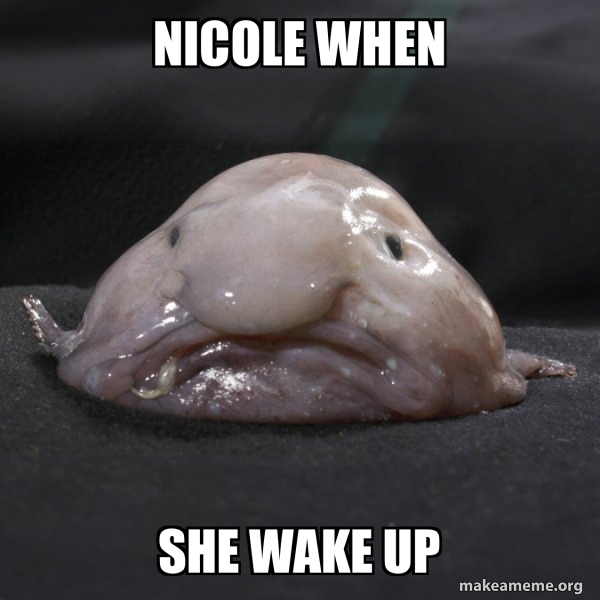 nicole when she wake up - Blobfish Meme Generator