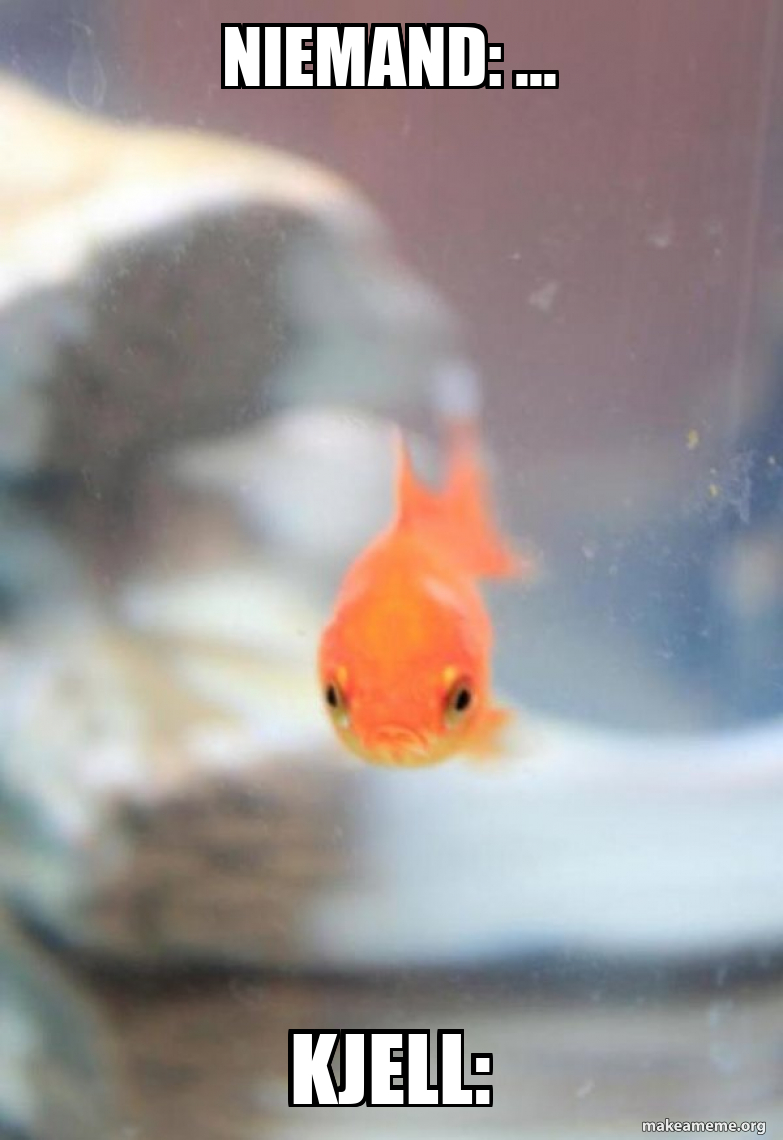 Niemand Memes
