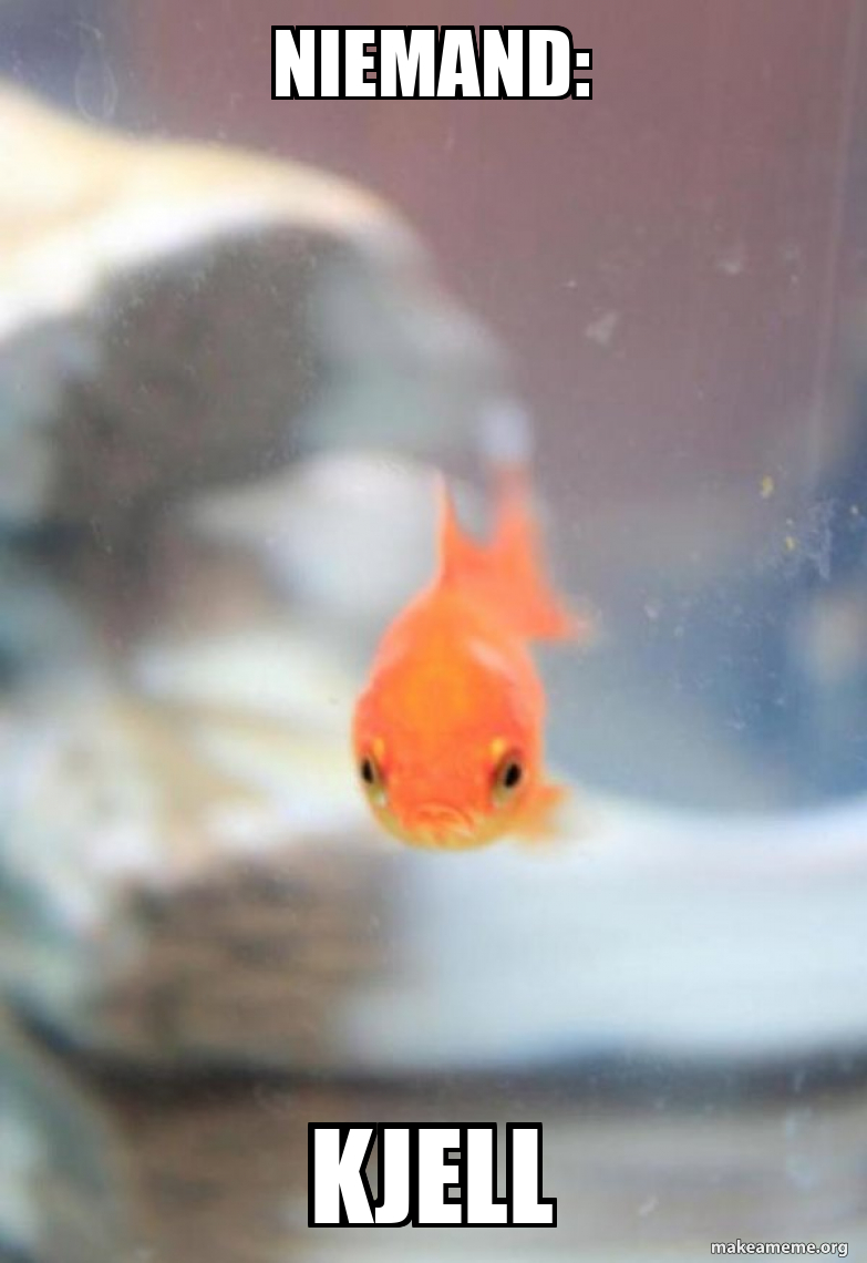 Niemand: Kjell - Grumpy Fish Meme Generator