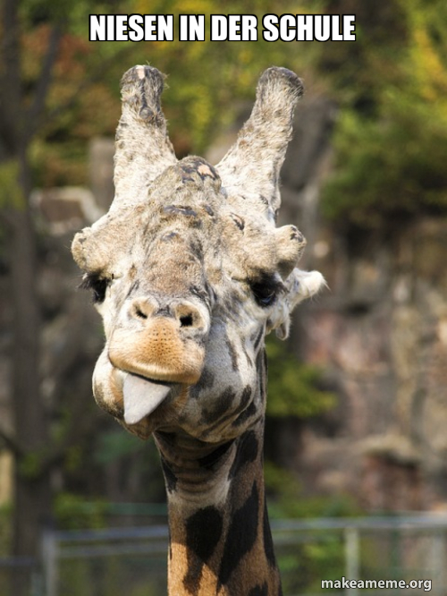 Niesen in der Schule Meme Generator