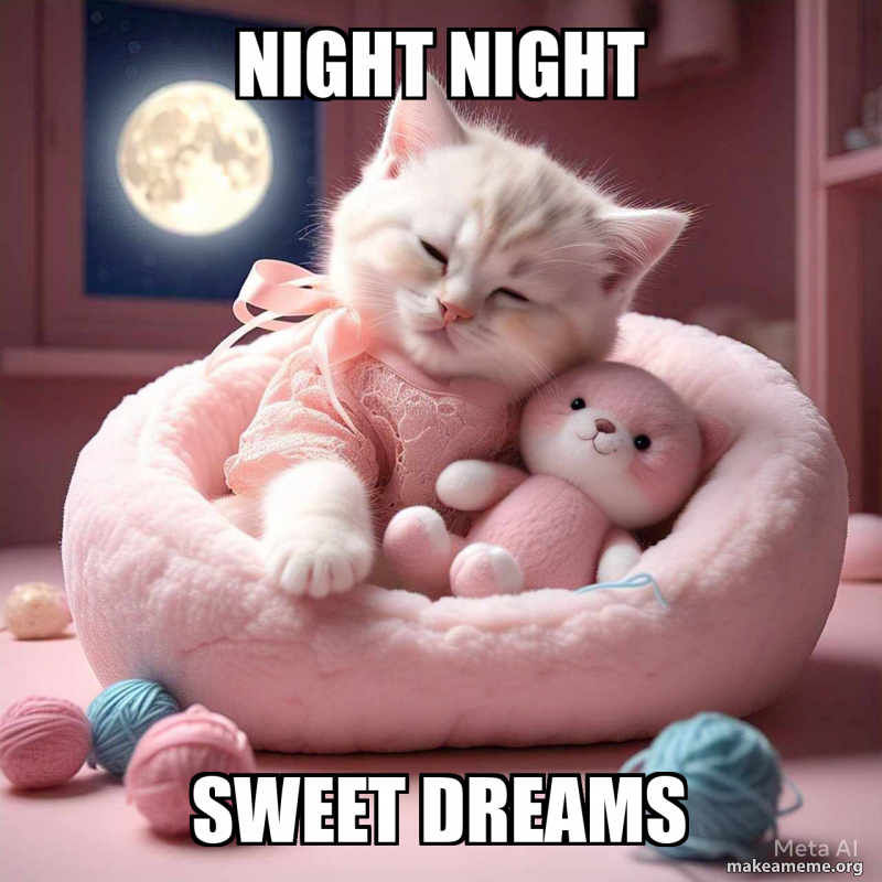 night night sweet dreams Meme Generator
