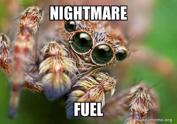 Nightmare Fuel - Hipster Spider Meme Generator