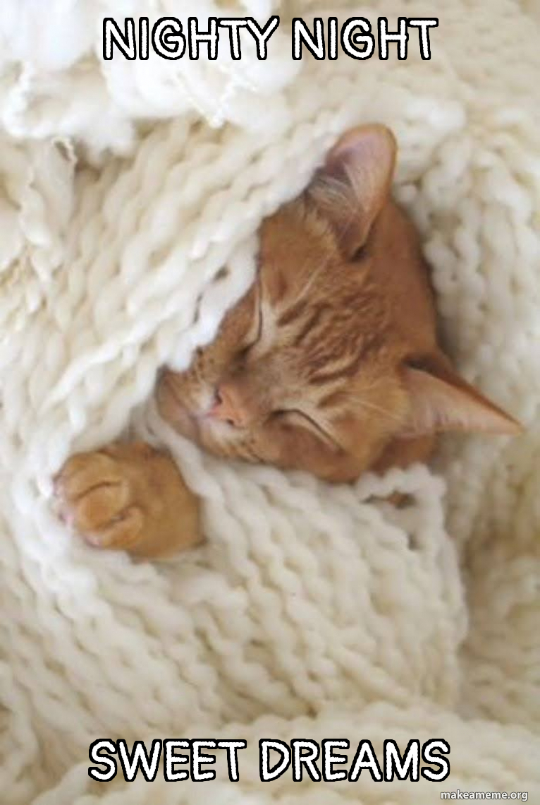 Nighty Night Sweet Dreams Meme Generator