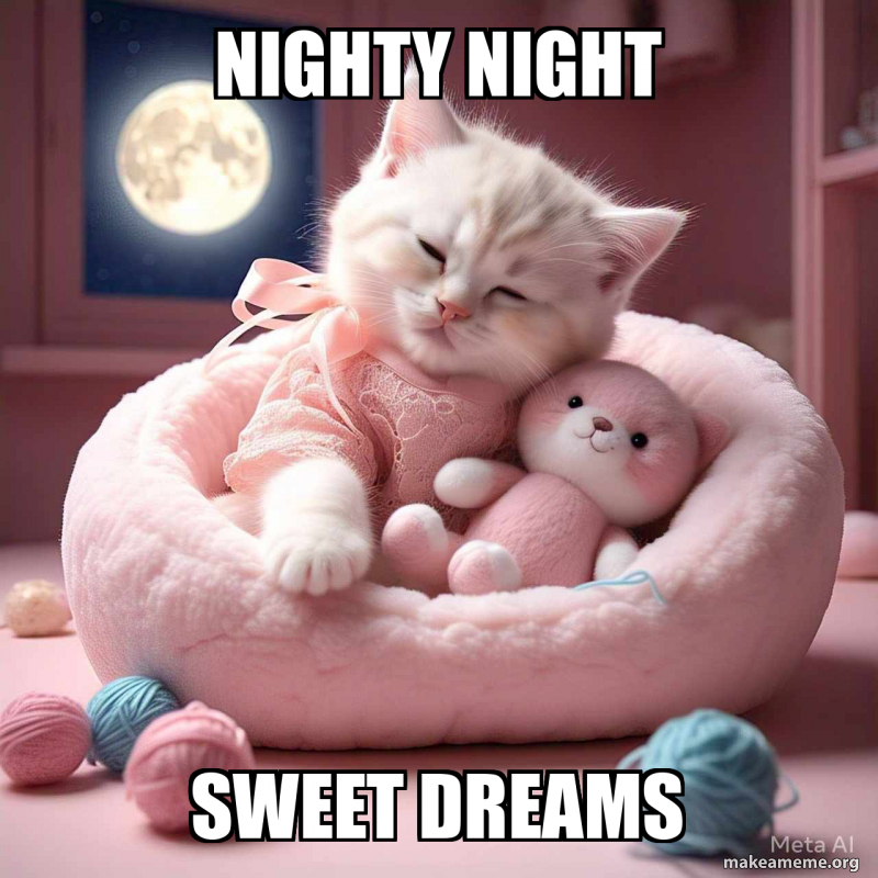nighty night sweet dreams Meme Generator