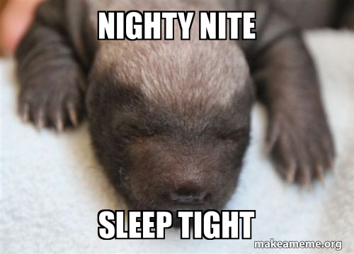 NIGHTY NITE SLEEP TIGHT Meme Generator