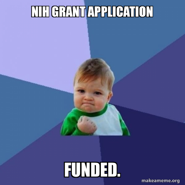 NIH Grant Application Funded. - Success Kid Meme Generator