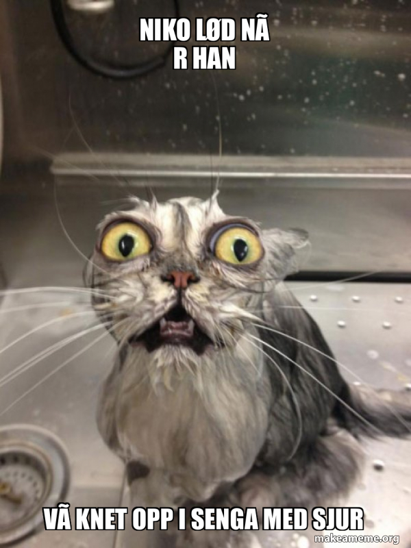 Niko Lød når han våknet opp i senga med sjur - Cat bath Meme Generator