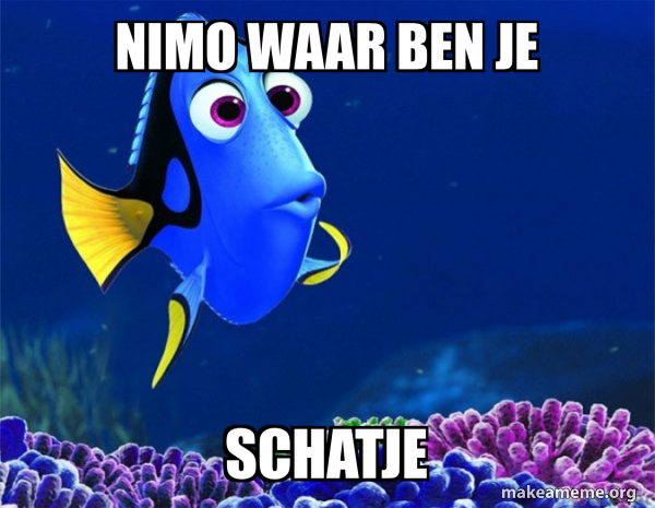 nimo waar ben je schatje - Dory from Nemo (5 second memory) Meme Generator
