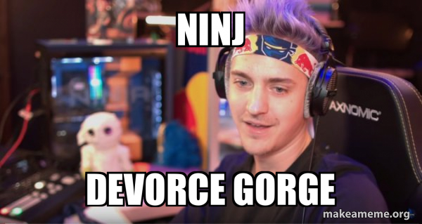 ninj devorce gorge - Ninja Tyler Blevins Meme Generator