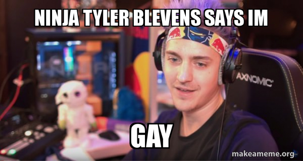 ninja Tyler Blevens says im GAY - Ninja Tyler Blevins Meme Generator