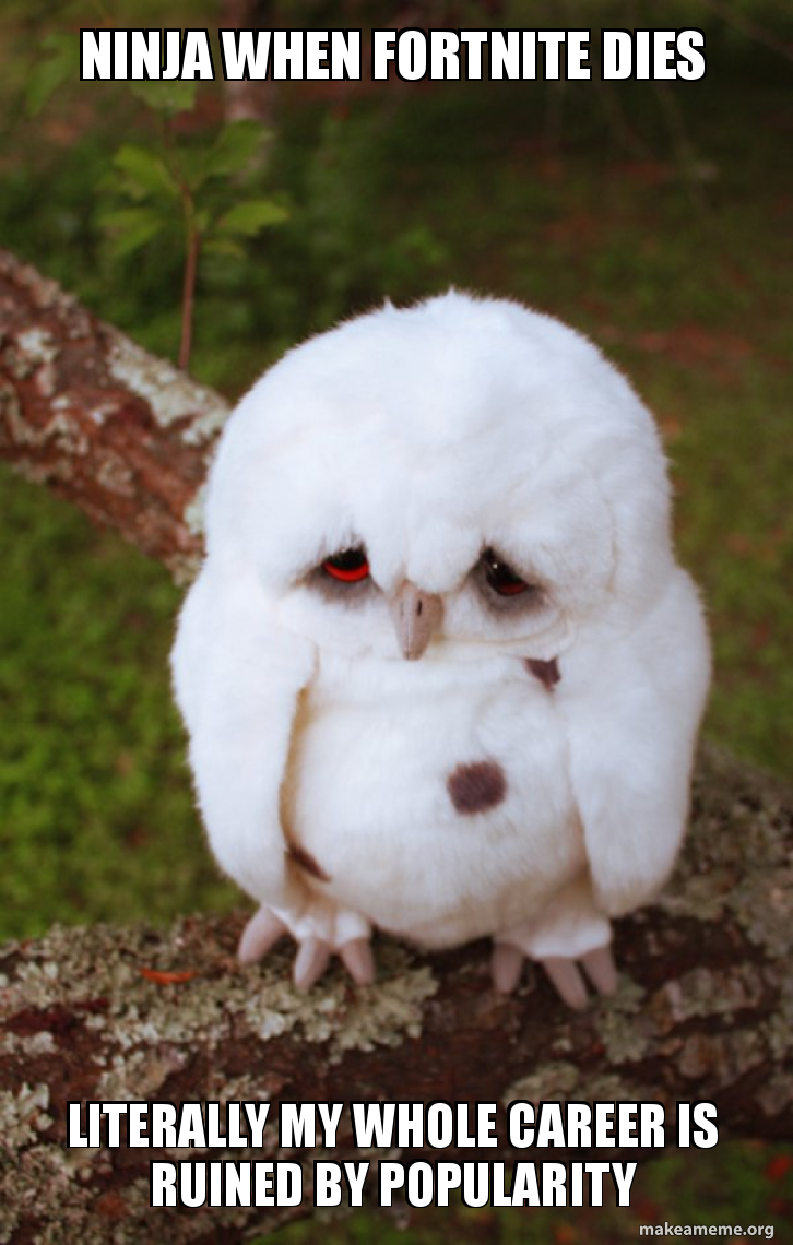 Ninja when fortnite dies Literally my whole career is ruined by ...