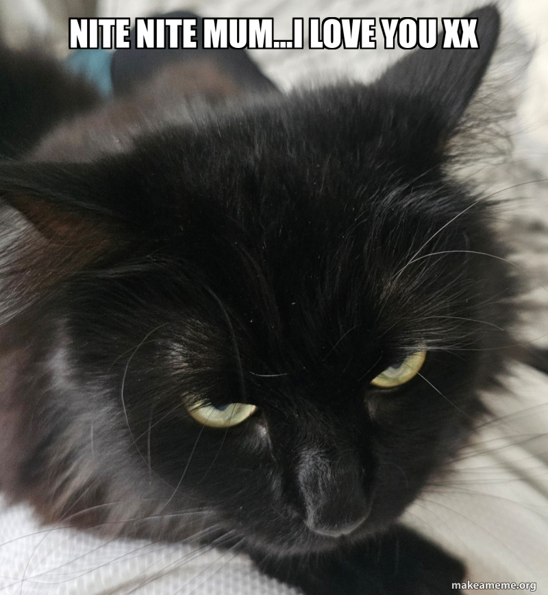 Nite nite mum...I love you xx Meme Generator