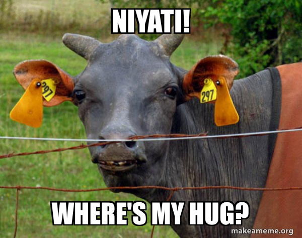 Niyati! Where's my hug? - Hairless Cow Meme Generator