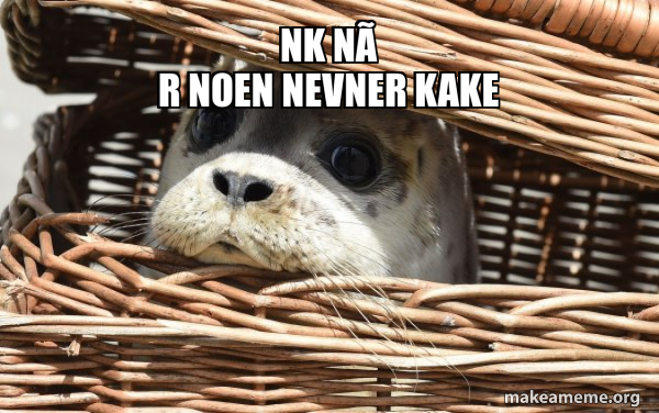 NK når noen nevner kake - Impending Doom Seal Meme Generator