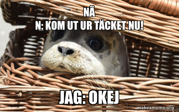 Nån: kom ut ur täcket nu! Jag: okej - Impending Doom Seal Meme Generator