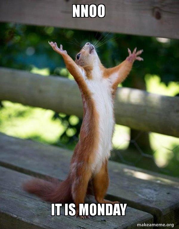 NNOO It is Monday - Happy Squirrel Meme Generator