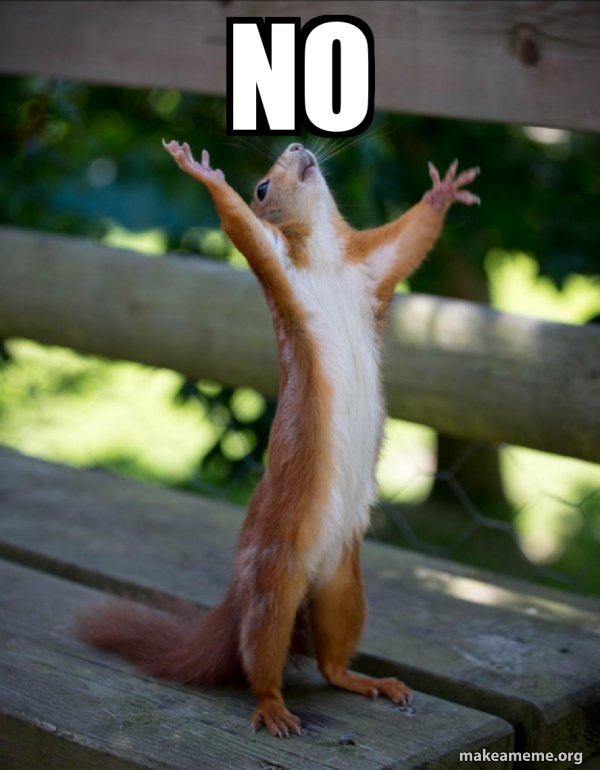 No - Happy Squirrel Meme Generator