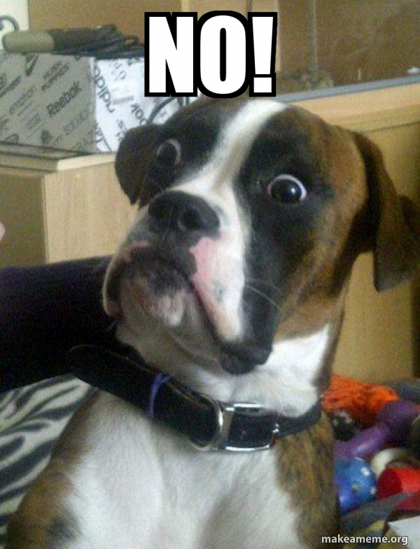 NO! - Skeptical Dog Meme Generator