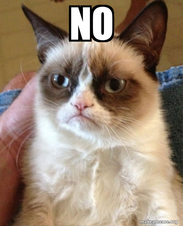 no - Grumpy Cat Meme Generator