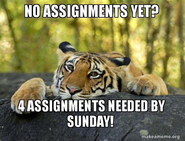 No Assignments Yet? 4 Assignments Needed By Sunday! - Confession Tiger ...
