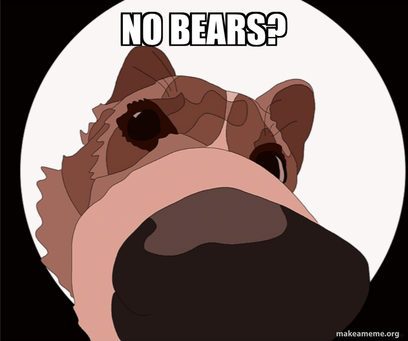 NO BEARS? Meme Generator