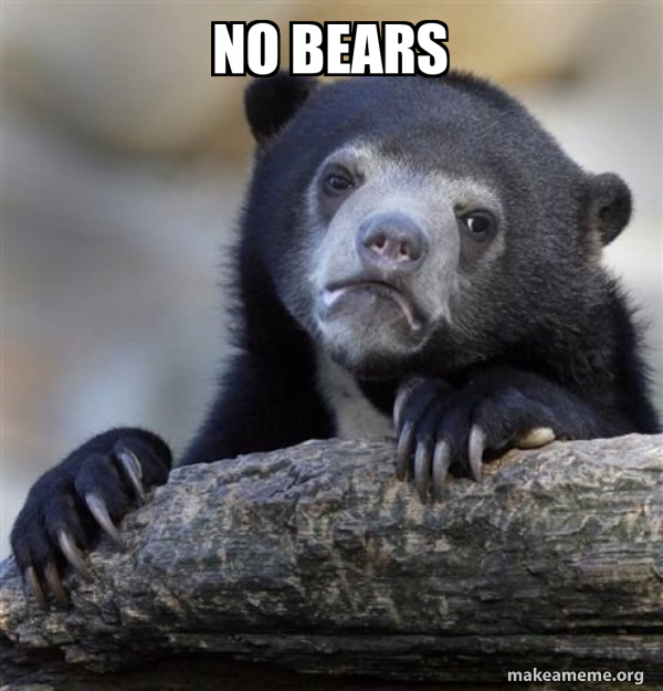 No bears - Confession Bear Meme Generator