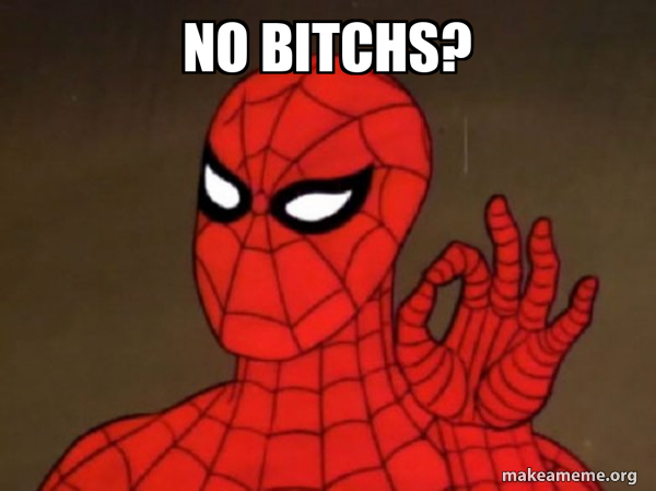 no bitchs? - Spiderman - Care factor Zero Meme Generator