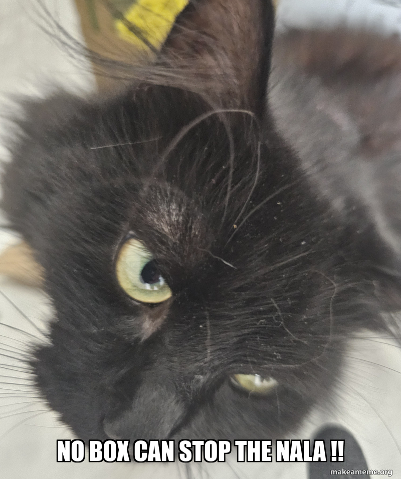 No box can stop the nala !! Meme Generator