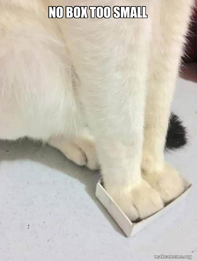 no box too small Meme Generator