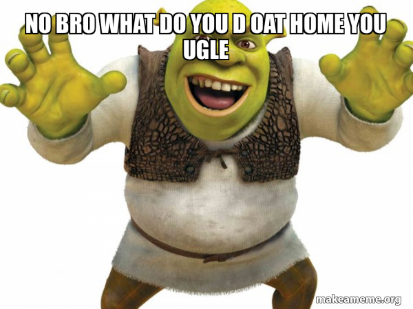 No bro what do you d oat home you ugle - Shrek Meme Generator