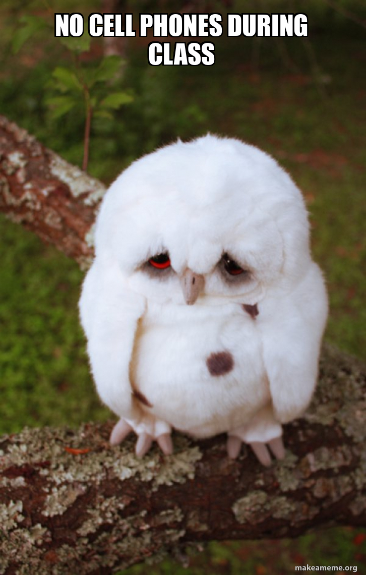 No Cell Phones During Class - Sad Owl Meme Generator