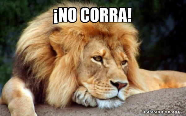 ¡no corra! - Confession Lion Meme Generator