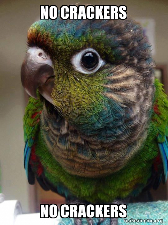 No Crackers No Crackers Meme Generator
