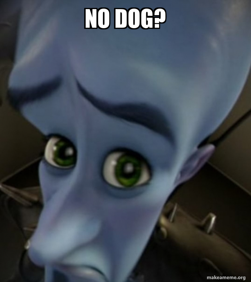 No dog? - No dog? Meme Generator