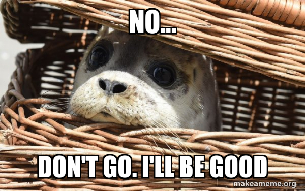 No... Don't go. I'll be good - Impending Doom Seal Meme Generator