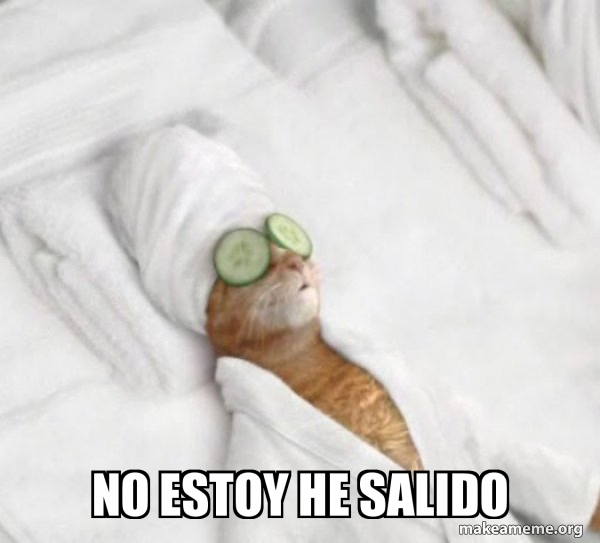 No estoy he salido - Pampered Cat Meme Meme Generator