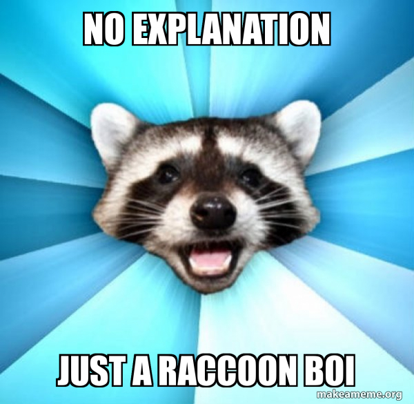 No explanation Just a raccoon boi - Lame Pun Coon Meme Generator