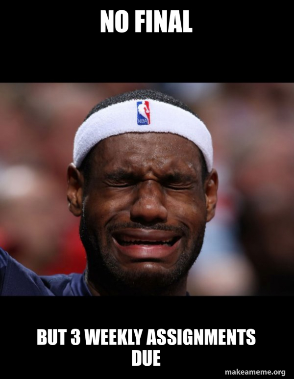 No Final but 3 weekly assignments due - Lebron Crying Meme Generator