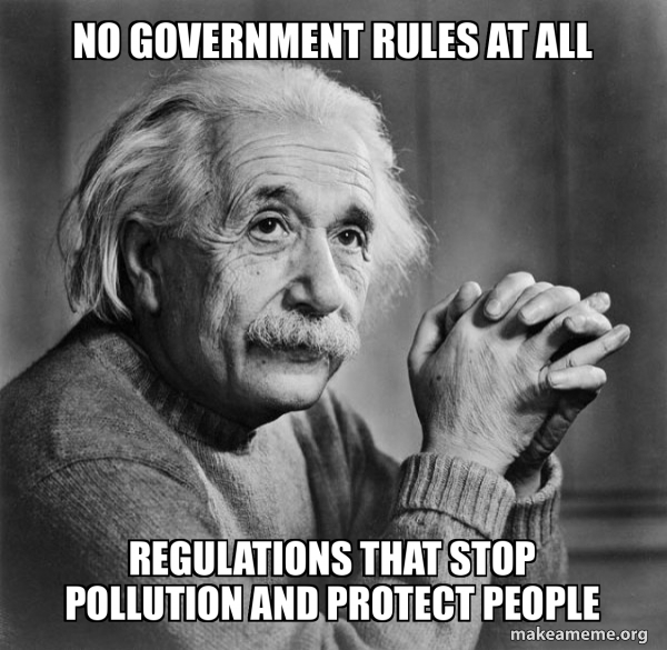 No government rules at all Regulations that stop pollution and protect ...